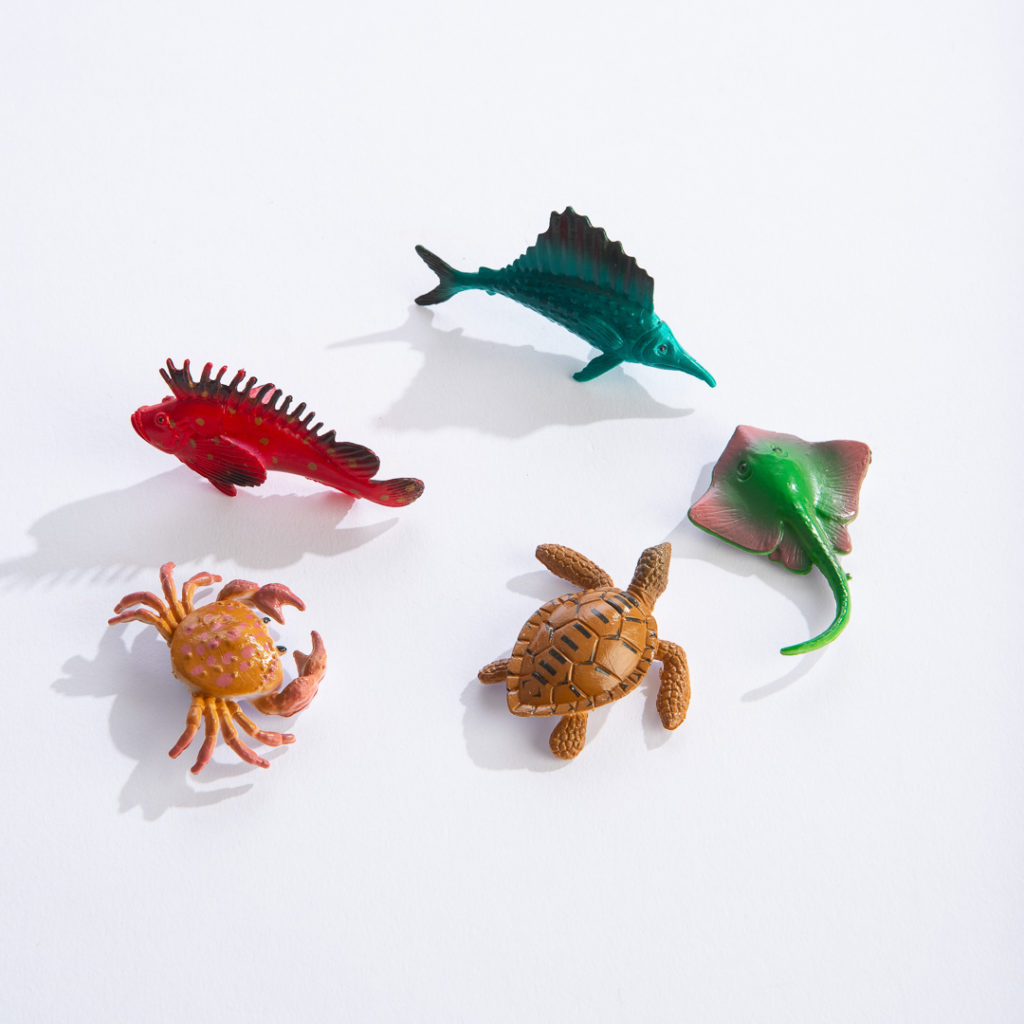 Mini Dig Kit: Ocean Life - GeoCentral