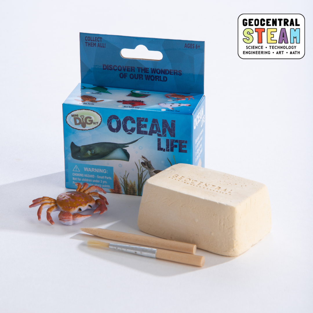 Mini Dig Kit: Ocean Life – GeoCentral
