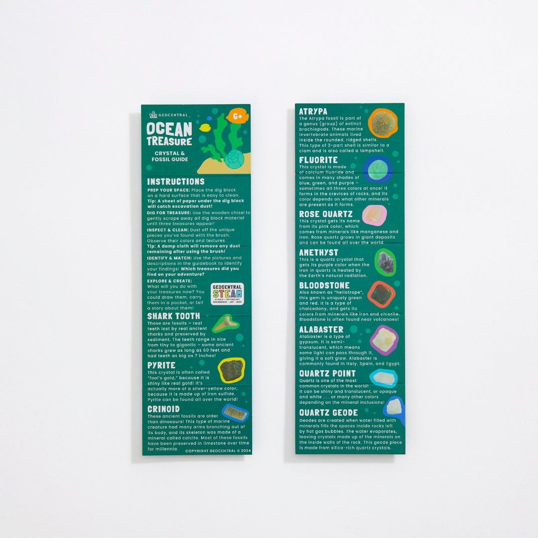 Ocean Treasure Dig Kit - GeoCentral